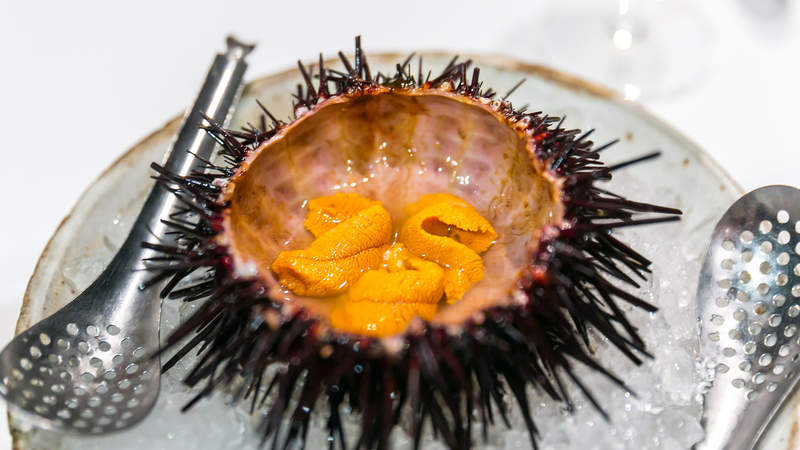 Uni, ウニ (Sea Urchin) — Sushi Modern